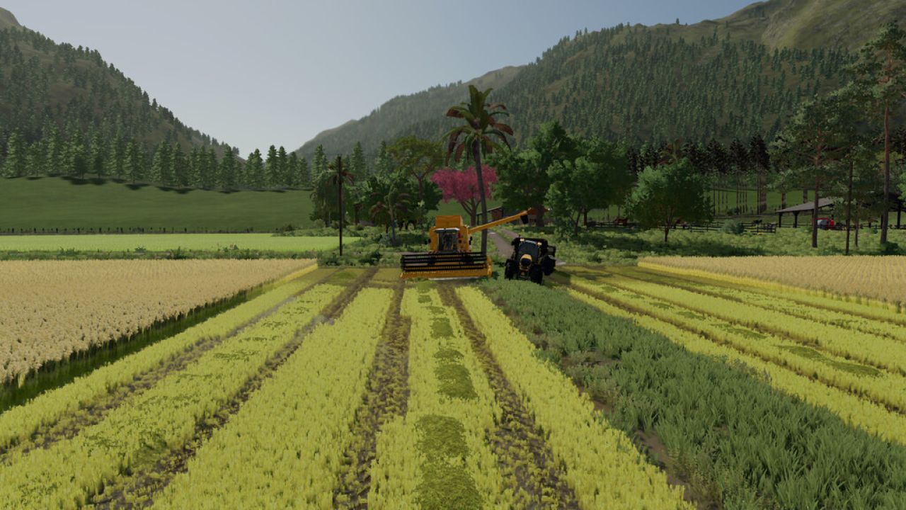 Agro Sul Rice FS22 - KingMods