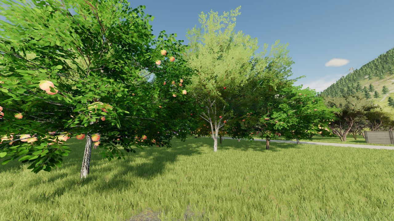Fruit Orchard FS22 - KingMods