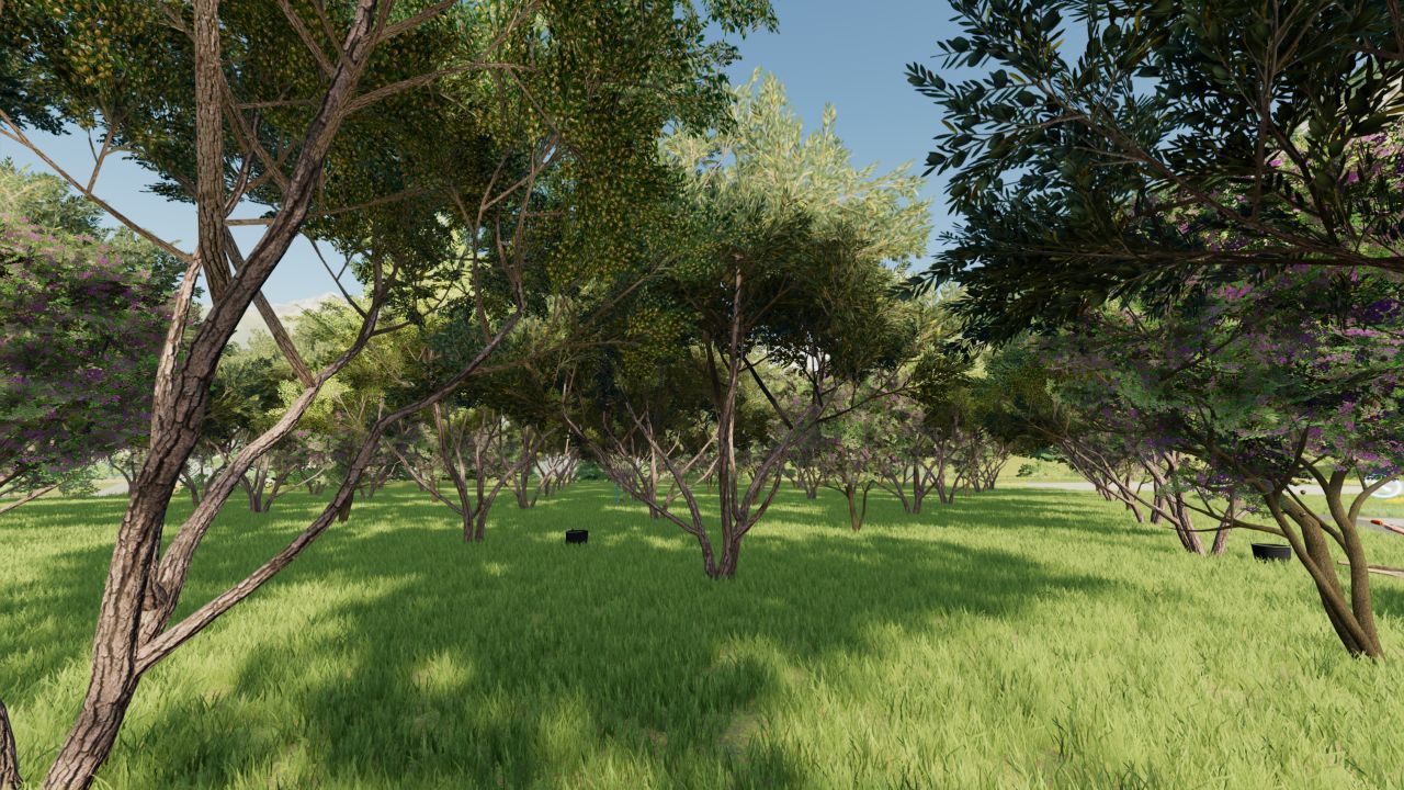 Fruit Orchard FS22 - KingMods