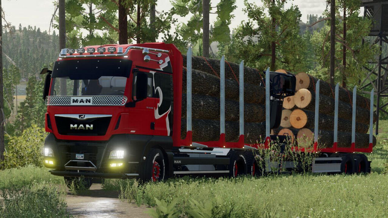 MAN TGX Forst Spezial LS22 - KingMods