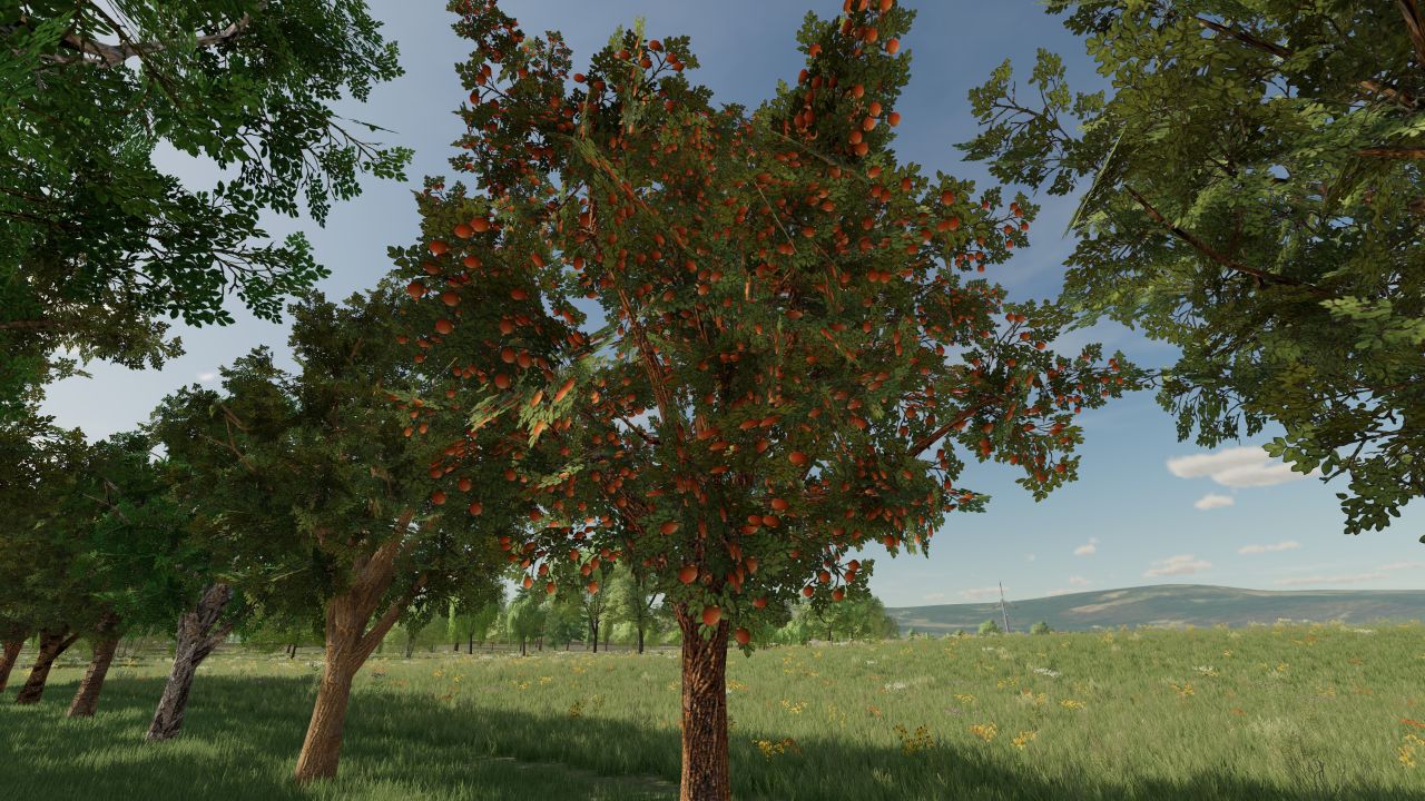 Orchards Fruits FS22 - KingMods