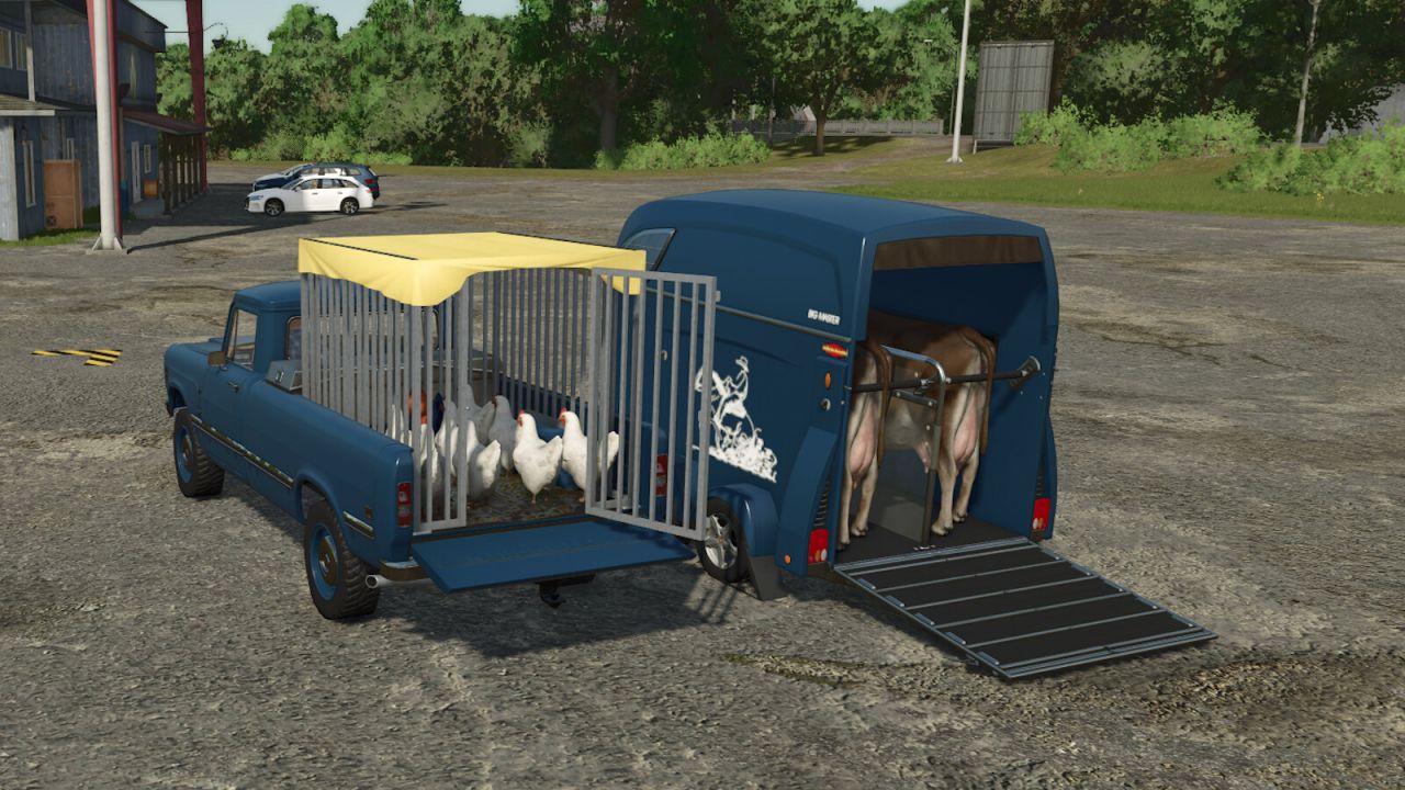 Animal Transports FS25 - KingMods