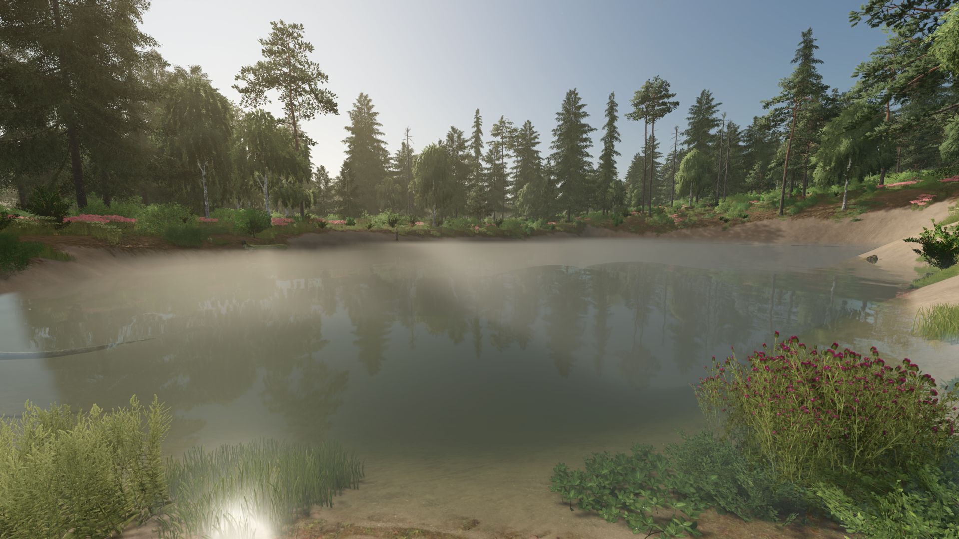 Fog Control FS25 - KingMods