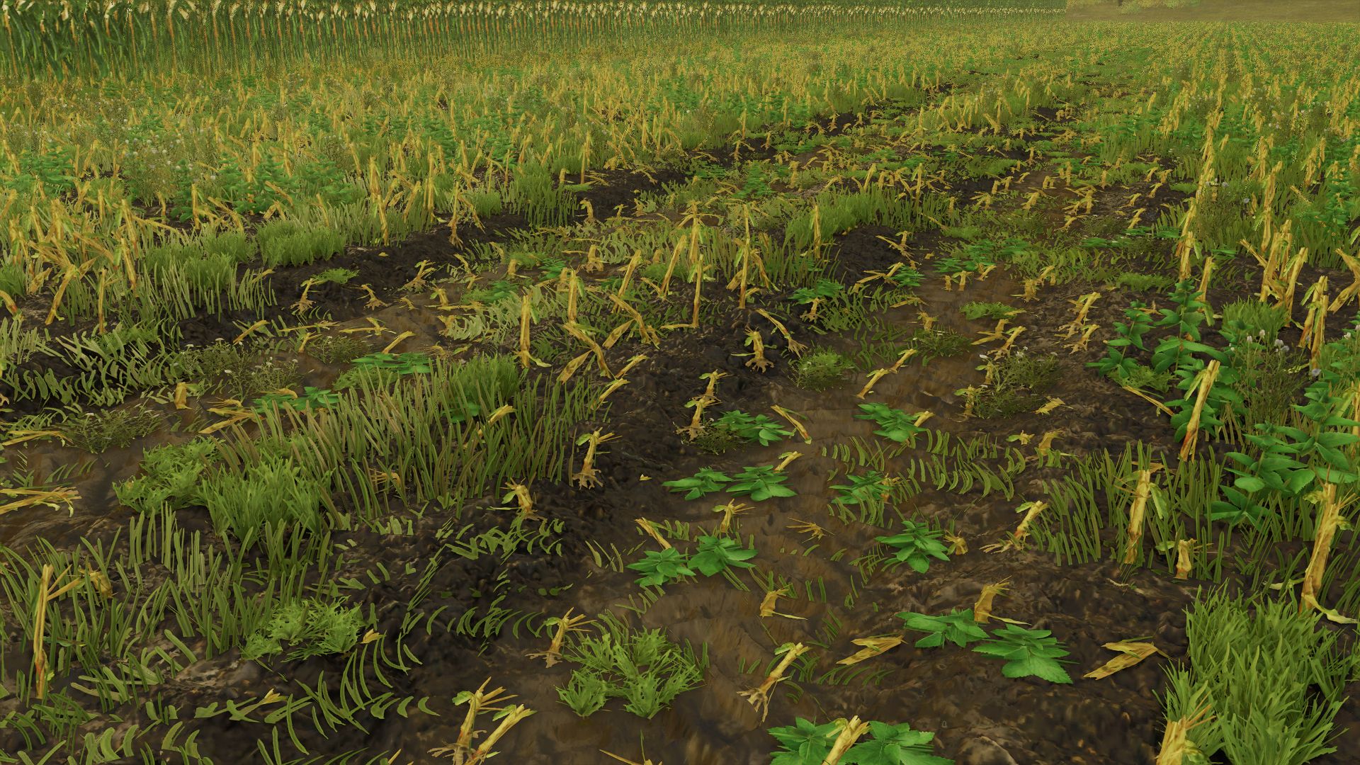 Tillage Textures FS25 KingMods