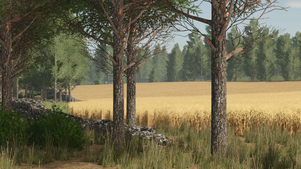 Pinewood Forest FS25 - KingMods