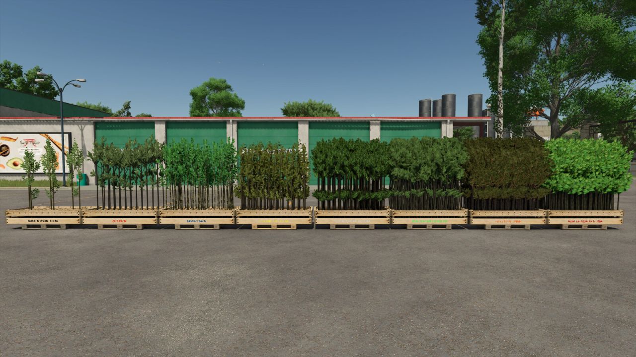 Tree Sapling Pack FS25 - KingMods