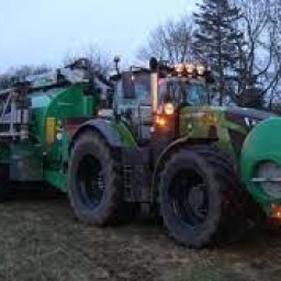 Gylle Gusse - KingMods